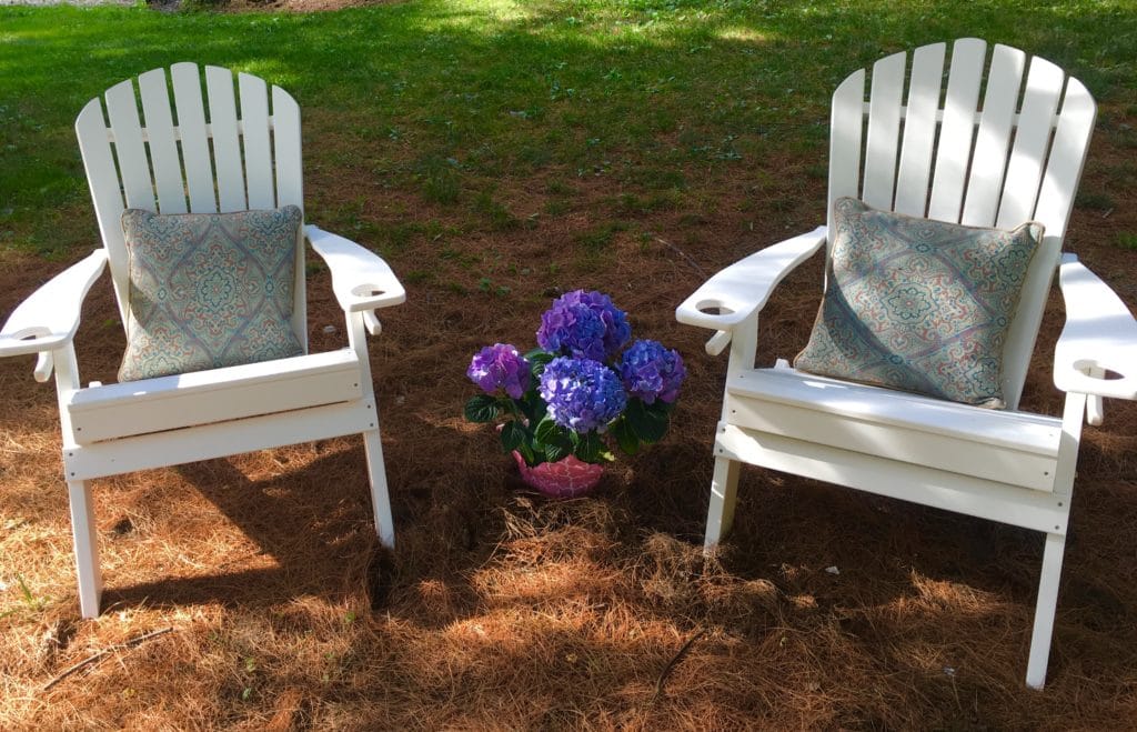 chairs - Leslie Hershberger chairs - Leslie Hershberger