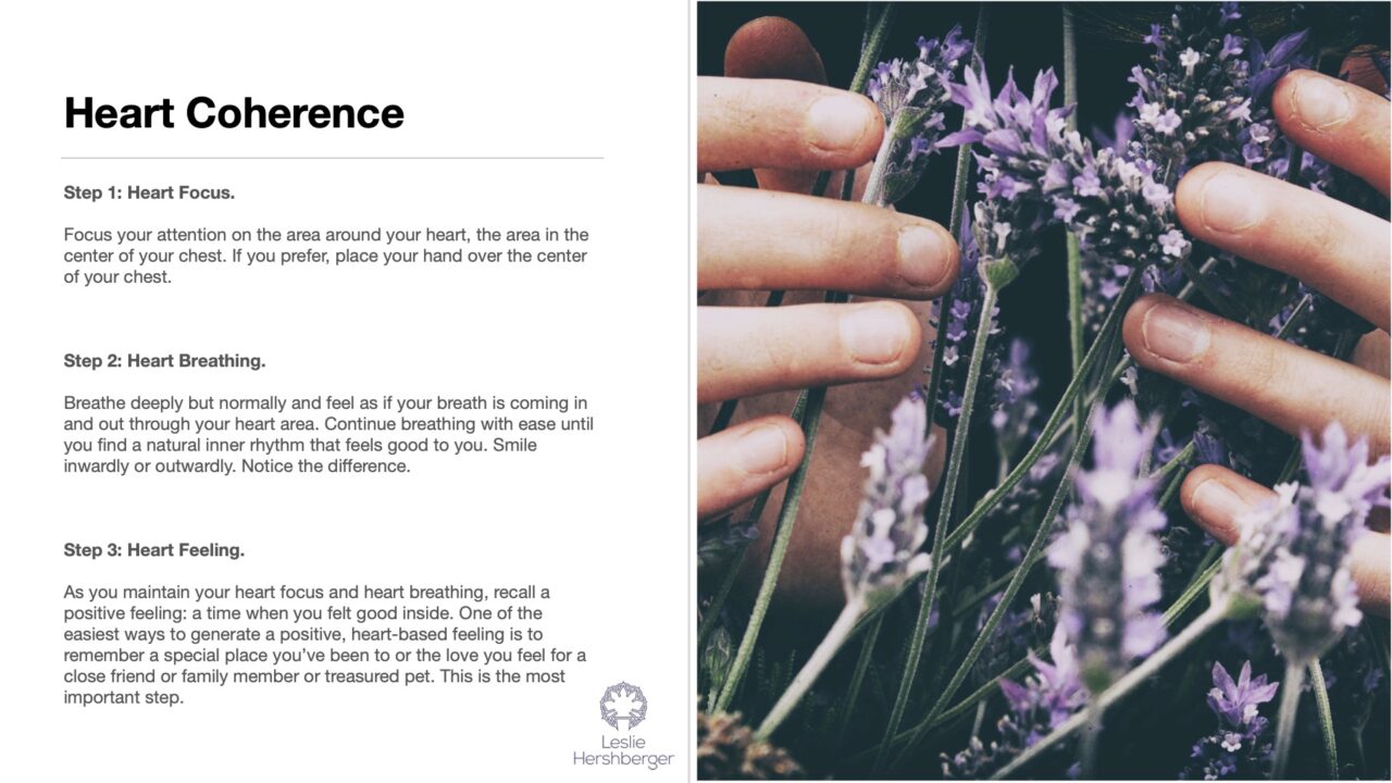 Contemplative Pause Practices - Leslie Hershberger